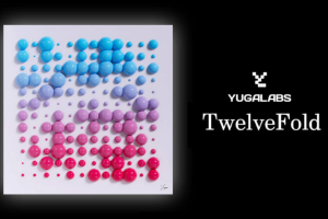 TwelveFold là gì? Toàn tập về bộ sưu tập TwelveFold - BLOG Đầu tư tài chính